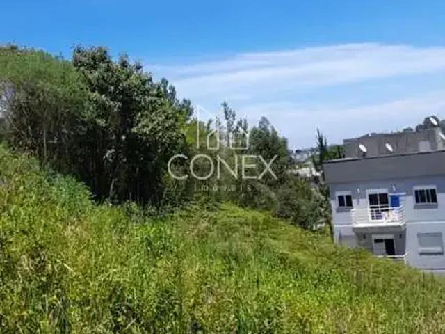 Terreno / Lote para Venda em Farroupilha/RS Primeiro de Maio