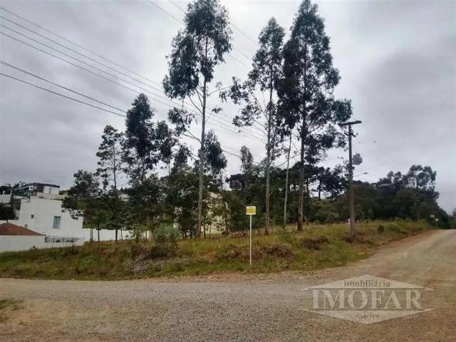 Terreno / Lote para Venda em Farroupilha/RS São Francisco