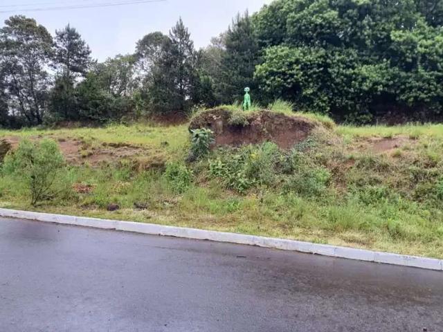 Terreno / Lote para Venda em Farroupilha/RS São Francisco