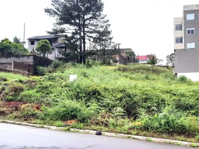 Terreno / Lote para Venda em Farroupilha/RS São Francisco