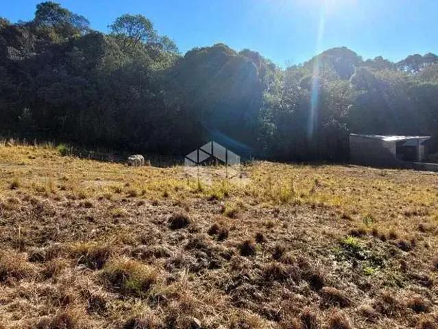 Terreno / Lote para Venda em Farroupilha/RS São Francisco
