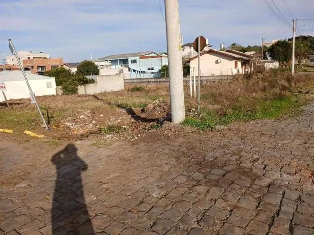 Terreno / Lote para Venda em Farroupilha/RS São Roque