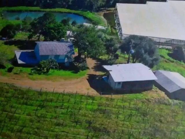 Terreno / Lote para Venda em Farroupilha/RS Zona Rural