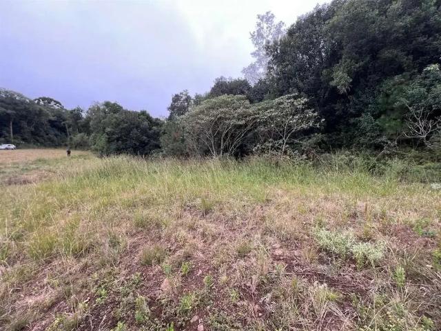 Terreno / Lote para Venda em Farroupilha/RS Zona Rural