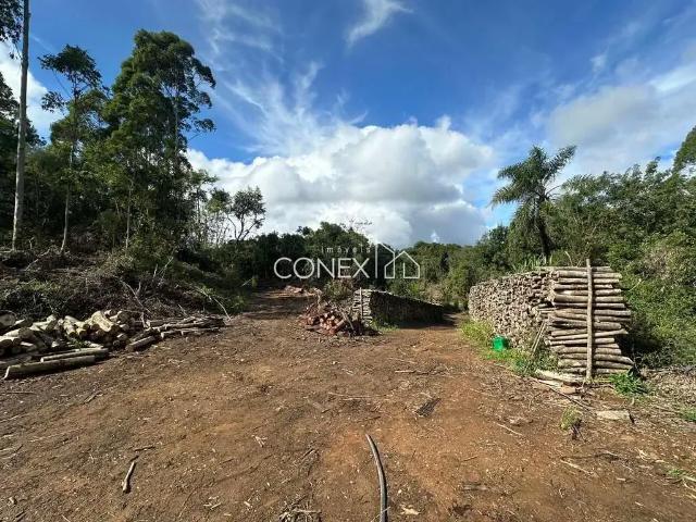 Terreno / Lote para Venda em Farroupilha/RS Zona Rural