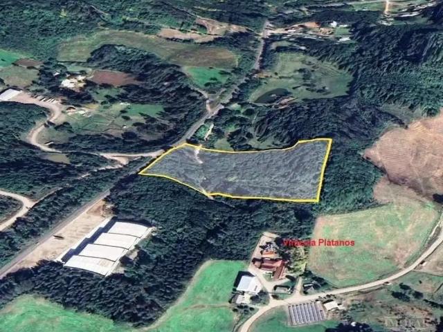 Terreno / Lote para Venda em Farroupilha/RS 3 Distrito