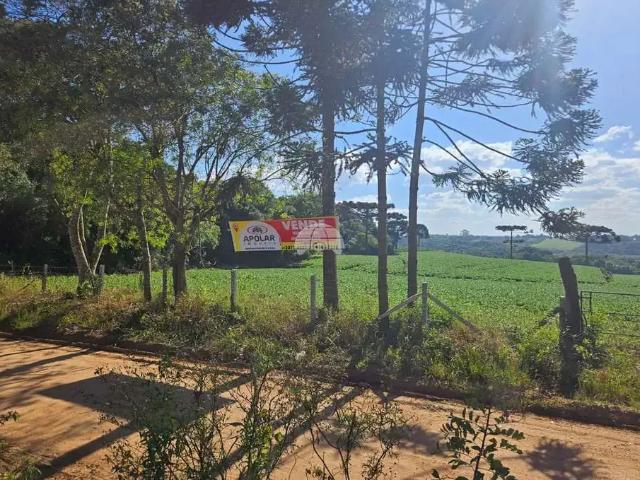 Terreno / Lote para Venda em Fazenda Rio Grande/PR Campo do Rio