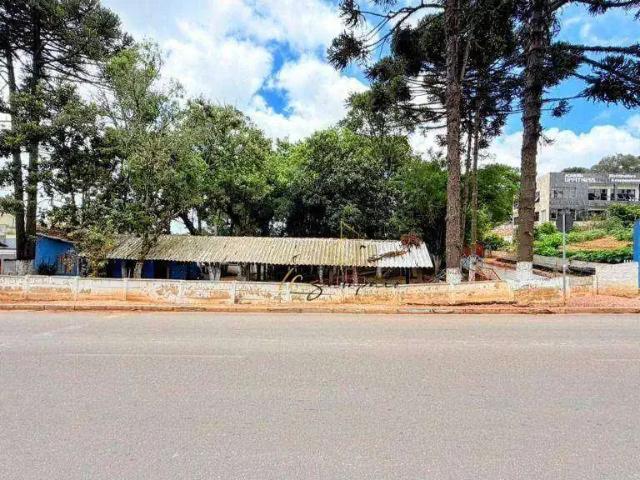 Terreno / Lote para Venda em Fazenda Rio Grande/PR Estados