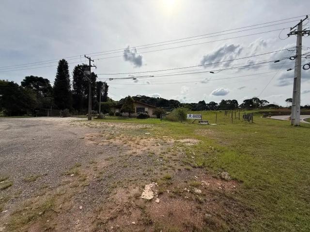 Terreno / Lote para Venda em Fazenda Rio Grande/PR Estados