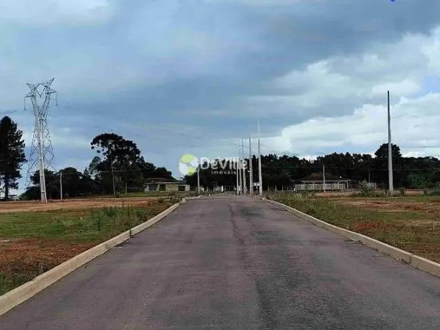 Terreno / Lote para Venda em Fazenda Rio Grande/PR Jardim Veneza