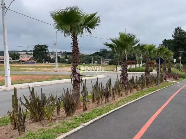 Terreno / Lote para Venda em Fazenda Rio Grande/PR Pioneiros