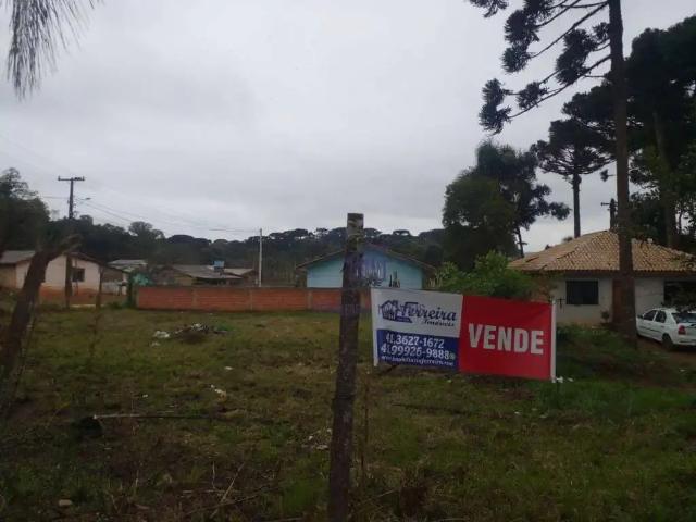Terreno / Lote para Venda em Fazenda Rio Grande/PR Santa Terezinha
