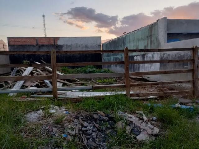 Terreno / Lote para Venda em Fazenda Rio Grande/PR Santa Terezinha