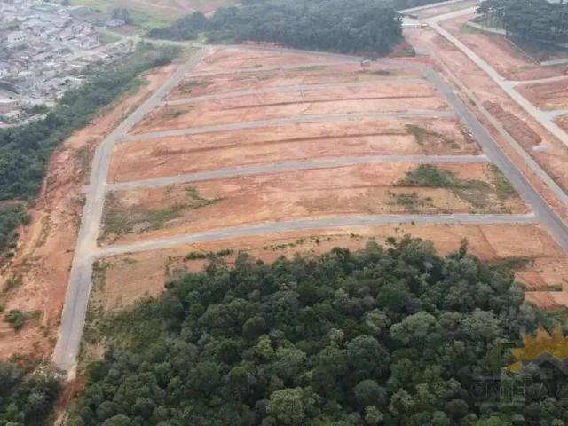 Terreno / Lote para Venda em Fazenda Rio Grande/PR Santa Terezinha