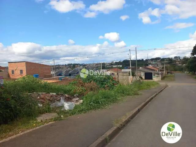 Terreno / Lote para Venda em Fazenda Rio Grande/PR Santa Terezinha