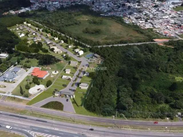 Terreno / Lote para Venda em Fazenda Rio Grande/PR Santa Terezinha