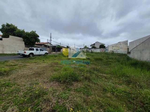 Terreno / Lote para Venda em Fazenda Rio Grande/PR Santa Terezinha