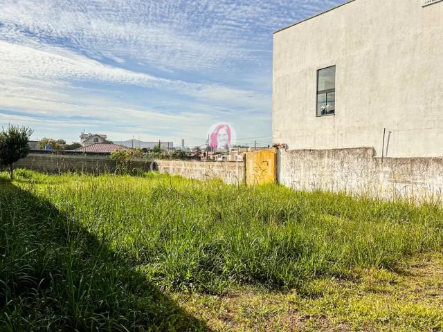 Terreno / Lote para Venda em Fazenda Rio Grande/PR Santa Terezinha