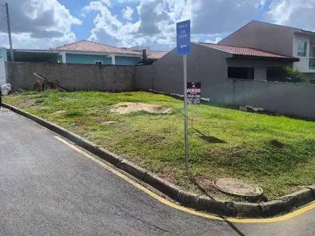 Terreno / Lote para Venda em Fazenda Rio Grande/PR Santa Terezinha
