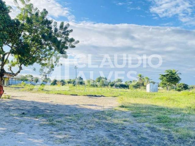 Terreno / Lote para Venda em Feira de Santana/BA Asa Branca