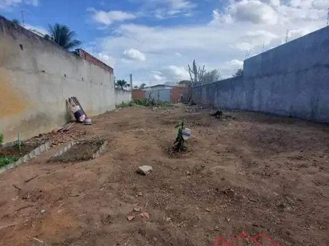 Terreno / Lote para Venda em Feira de Santana/BA Lagoa Salgada