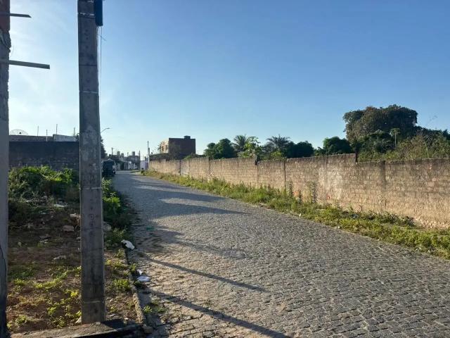 Terreno / Lote para Venda em Feira de Santana/BA Mangabeira