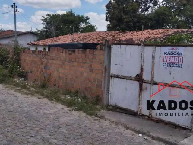Terreno / Lote para Venda em Feira de Santana/BA Muchila