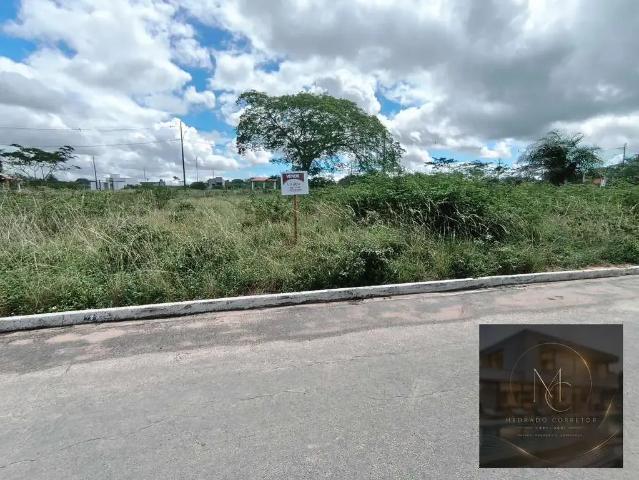 Terreno / Lote para Venda em Feira de Santana/BA Novo Horizonte