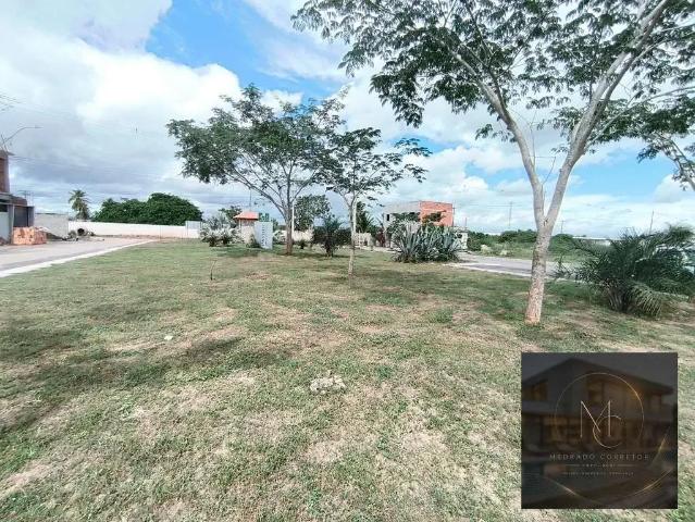 Terreno / Lote para Venda em Feira de Santana/BA Novo Horizonte