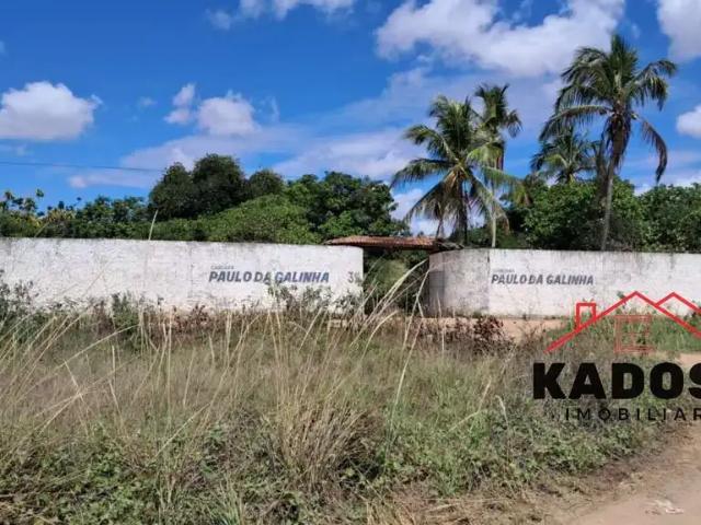 Terreno / Lote para Venda em Feira de Santana/BA São João
