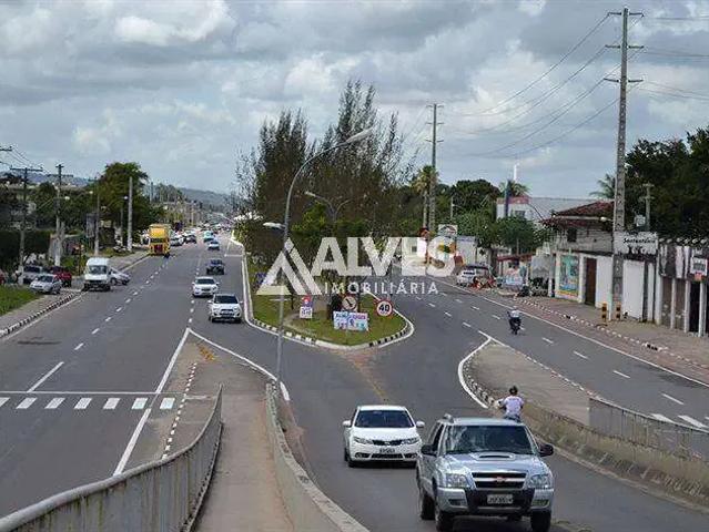 Terreno / Lote para Venda em Feira de Santana/BA Santa Mônica
