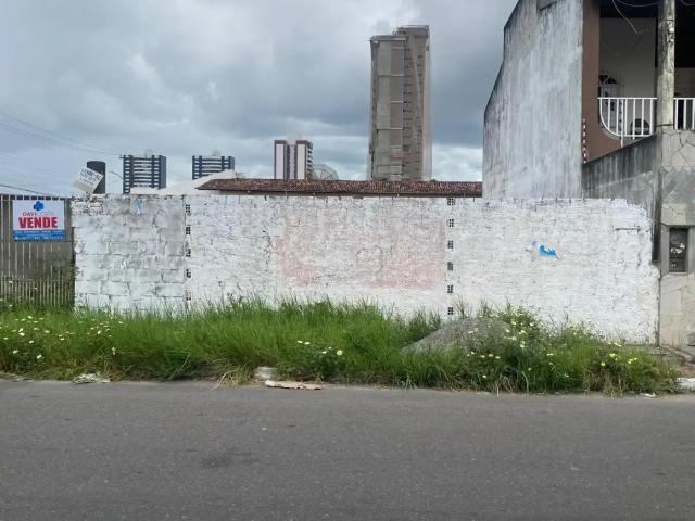 Terreno / Lote para Venda em Feira de Santana/BA Santa Mônica