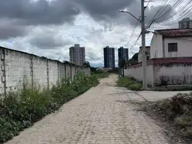 Terreno / Lote para Venda em Feira de Santana/BA Santa Mônica