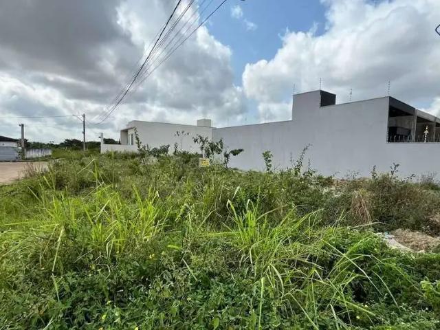 Terreno / Lote para Venda em Feira de Santana/BA Sim