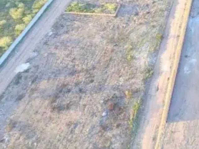 Terreno / Lote para Venda em Feira de Santana/BA Papagaio