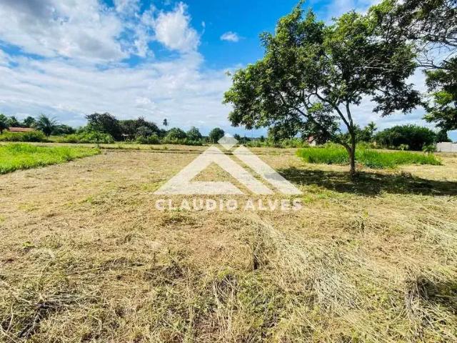 Terreno / Lote para Venda em Feira de Santana/BA Papagaio