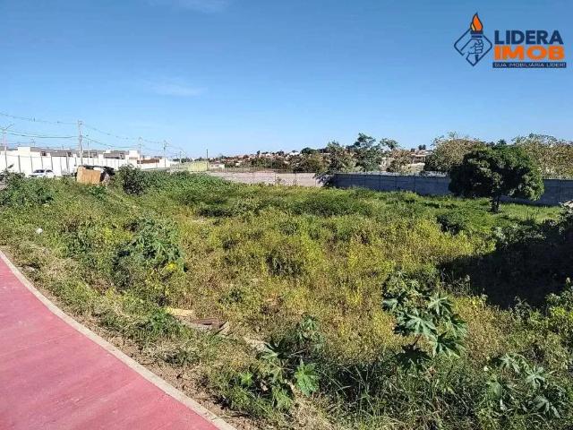 Terreno / Lote para Venda em Feira de Santana/BA Papagaio