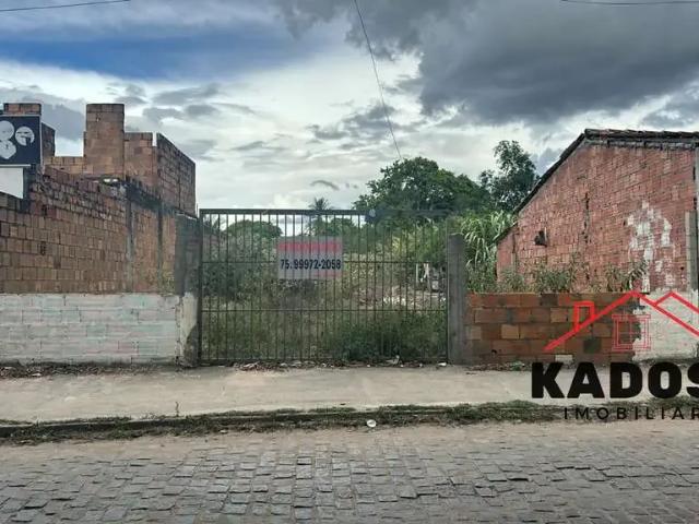 Terreno / Lote para Venda em Feira de Santana/BA Tomba
