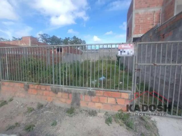 Terreno / Lote para Venda em Feira de Santana/BA Tomba