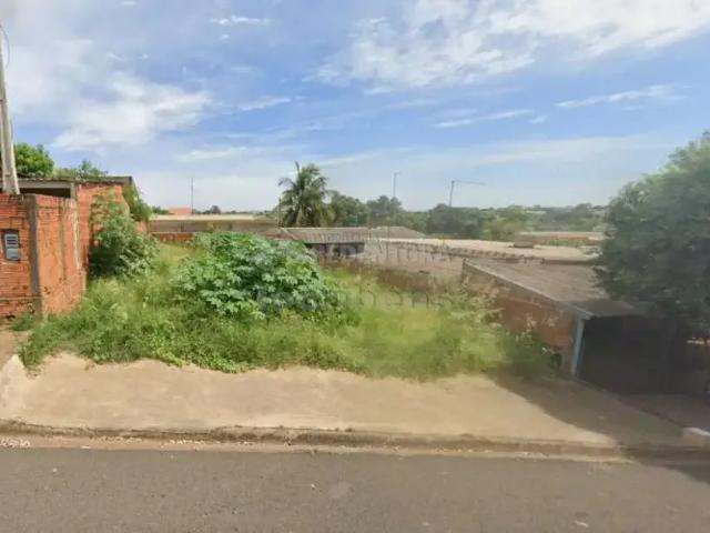 Terreno / Lote para Venda em Fernandópolis/SP Parque Paulistano