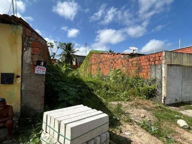 Terreno / Lote para Venda em Fortaleza/CE Conjunto Palmeiras