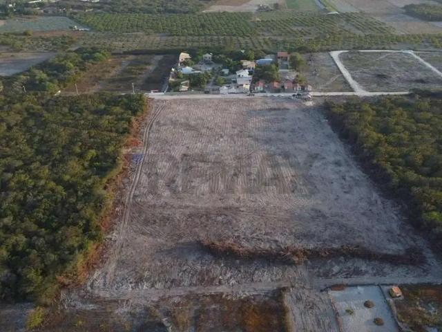 Terreno / Lote para Venda em Fortim/CE Canto da Barra
