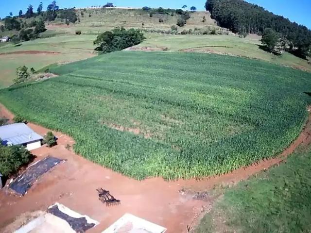 Terreno / Lote para Venda em Formosa do Sul/SC Centro