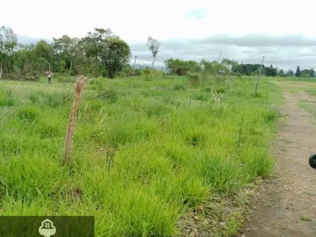Terreno / Lote para Venda em Forquilhinha/SC Santa Líbera
