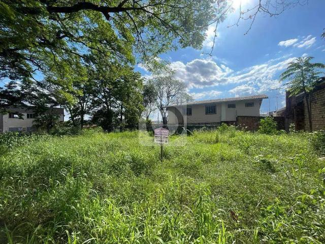 Terreno / Lote para Venda em Foz do Iguaçu/PR Centro