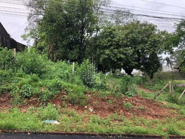 Terreno / Lote para Venda em Foz do Iguaçu/PR Centro