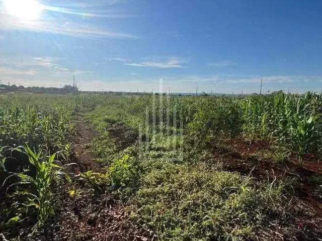 Terreno / Lote para Venda em Foz do Iguaçu/PR Centro