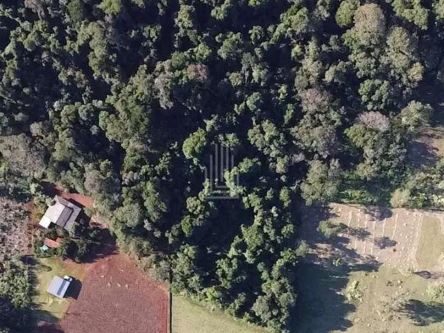 Terreno / Lote para Venda em Foz do Iguaçu/PR Arroio Dourado