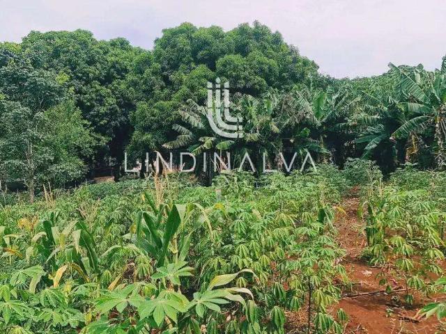 Terreno / Lote para Venda em Foz do Iguaçu/PR Beverly Falls Park