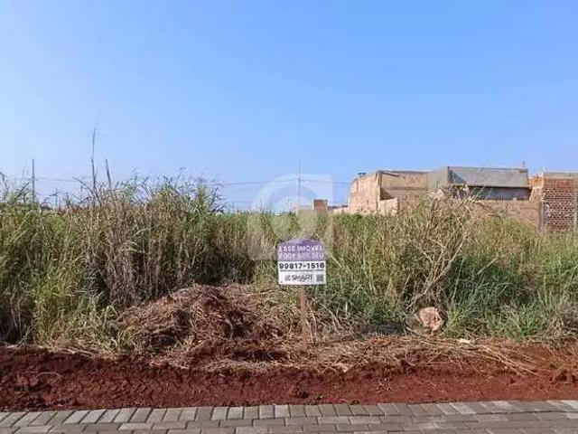Terreno / Lote para Venda em Foz do Iguaçu/PR Distrito Industrial